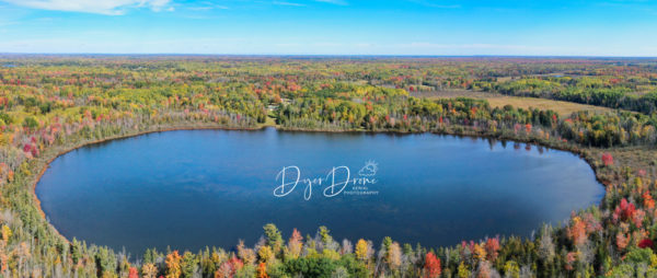 Portfolio ~ Dyer Drone